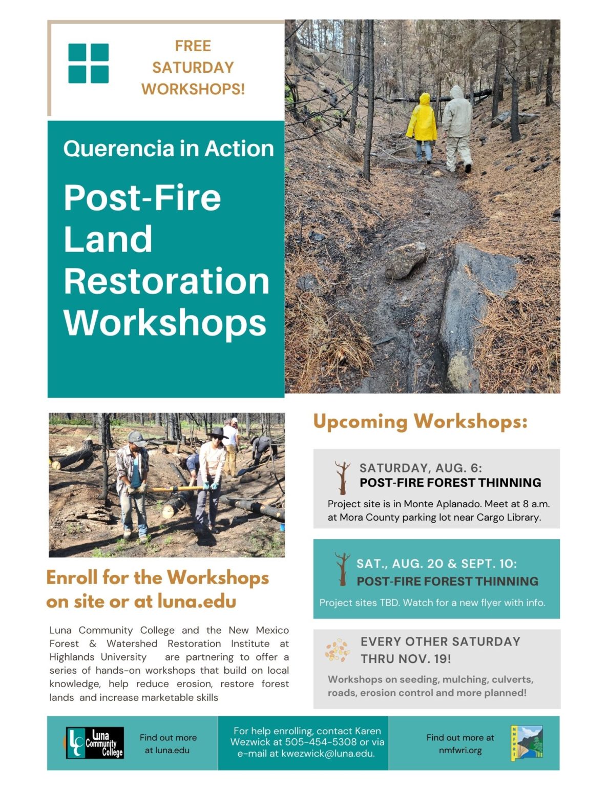 Free Post-fire Land Restoration Workshops - New Mexico Forest and ...