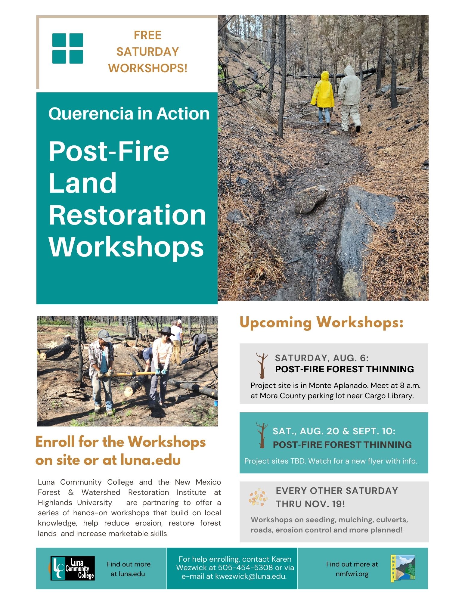 Free Post-fire Land Restoration Workshops - New Mexico Forest and ...