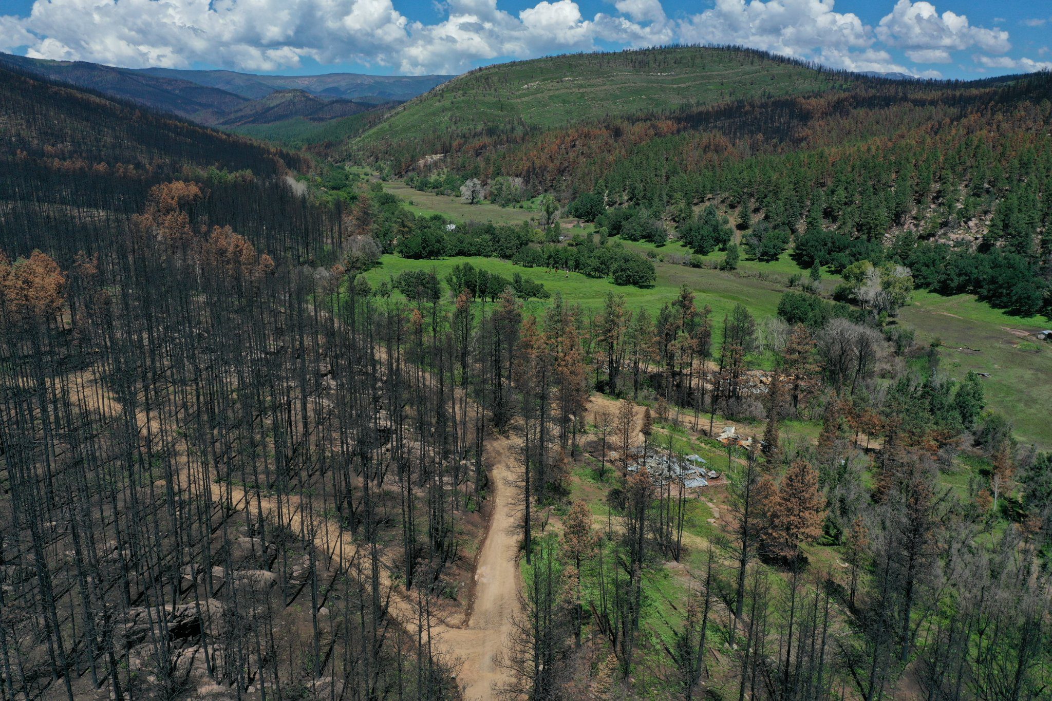 NMFWRI Seeks Spatial Analyst Postdoctoral Scholar - New Mexico Forest ...