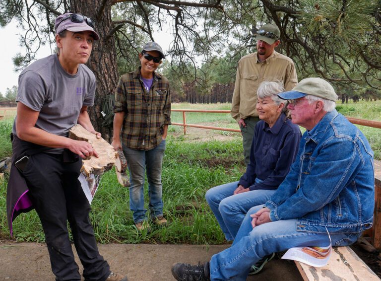 Querencia in Action: Post-Fire Land Restoration - New Mexico Forest and ...