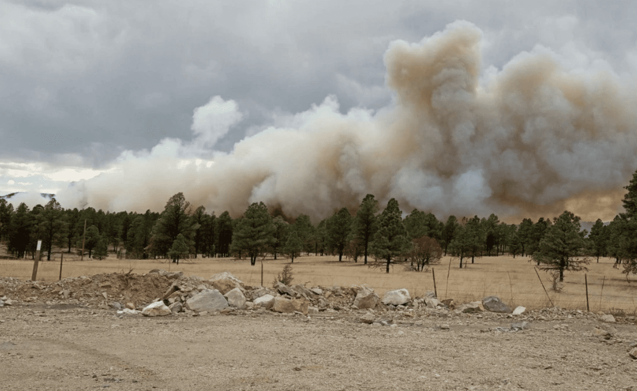 Las Tusas wildfire contained - New Mexico Forest and Watershed ...